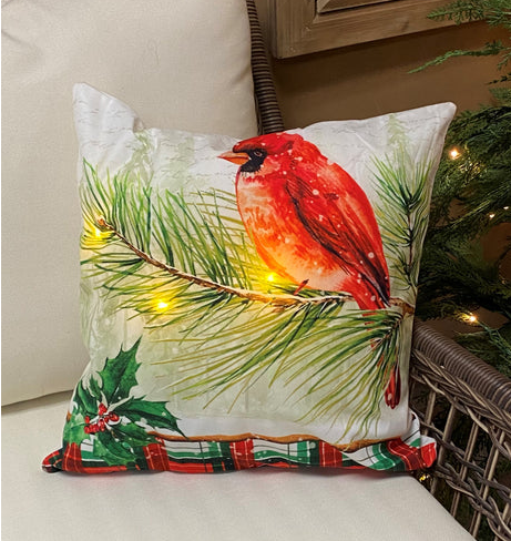 Cardinal | LED Light-Up Velvet Cushion – Willow Home